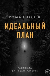 Книга Идеальный план — Роман Конев