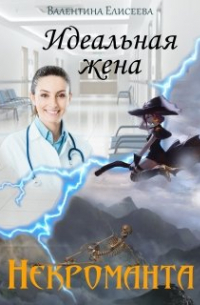 Книга Идеальная жена некроманта — Валентина Елисеева